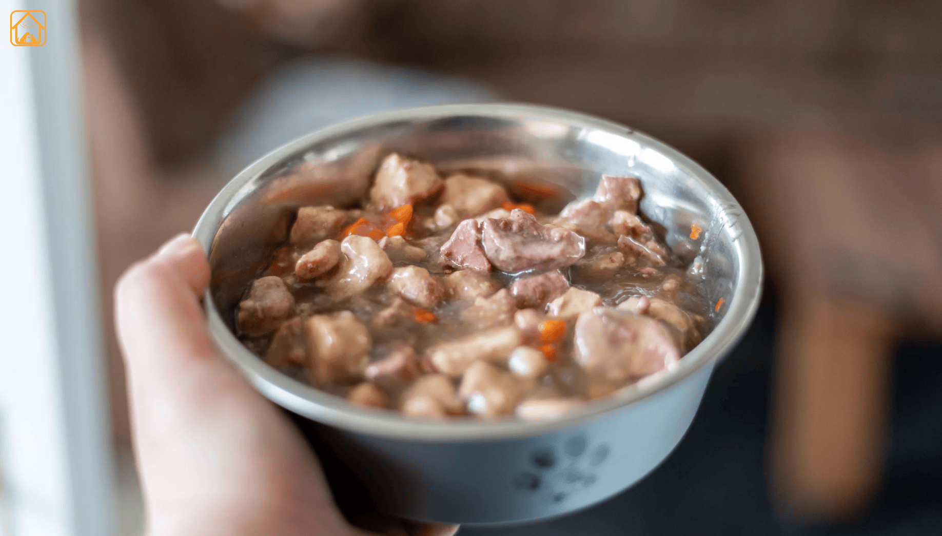 Wet vs Dry Dog Food: Which Is Best for Your Dog?